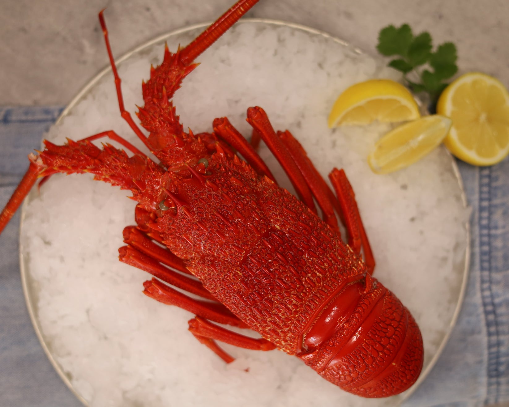 Cooked Rock Lobster – Lower Yorke Seafood